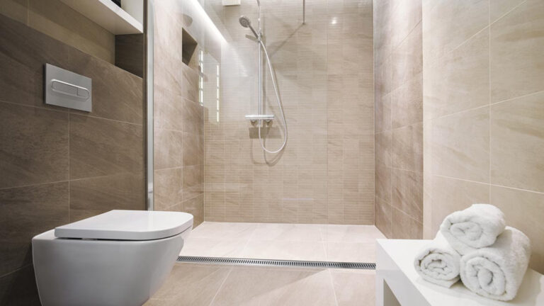 10 Walk-In Shower Ideas for Indian Bathrooms | Agmeco